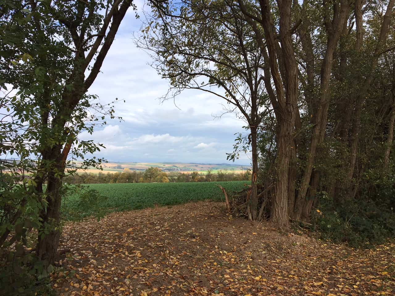 Der Maifeld-Radweg - Landschaft aktiv erleben - MeineEifel