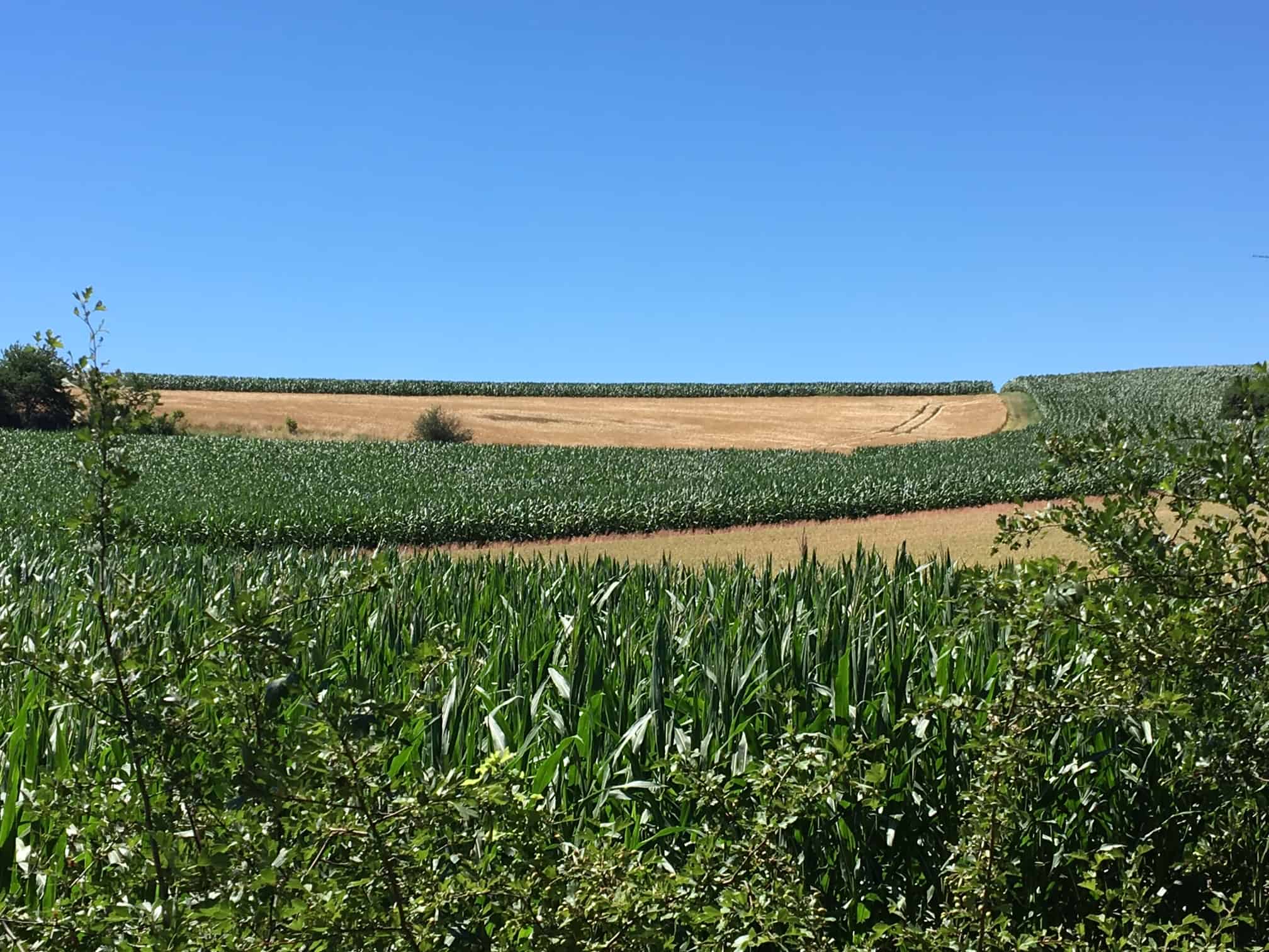 Der Maifeld-Radweg - Landschaft aktiv erleben - MeineEifel