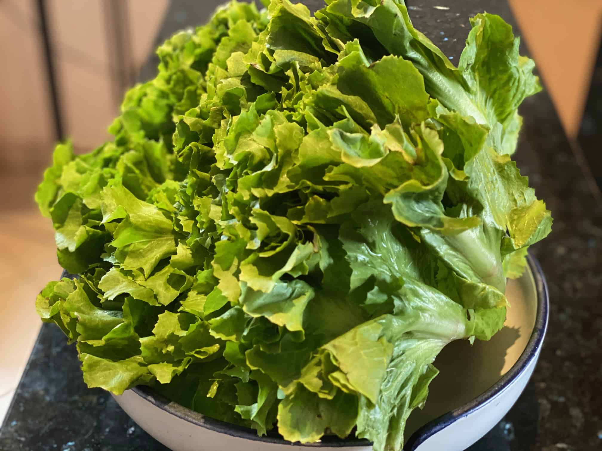 Endivien untereinander - einfach, aber lecker - MeineEifel