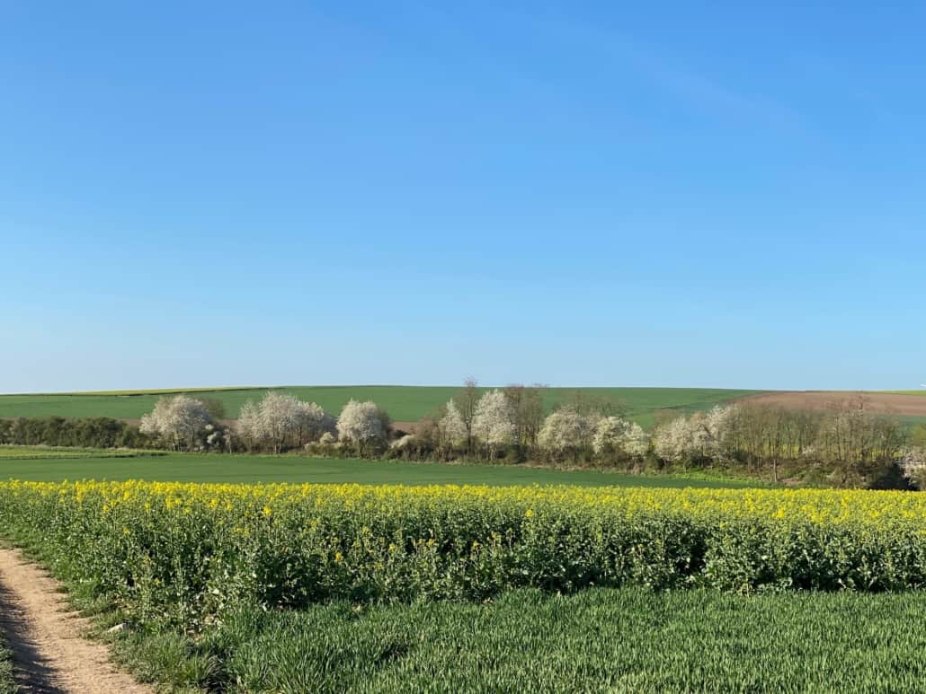 Der Maifeld-Radweg - Landschaft aktiv erleben - MeineEifel